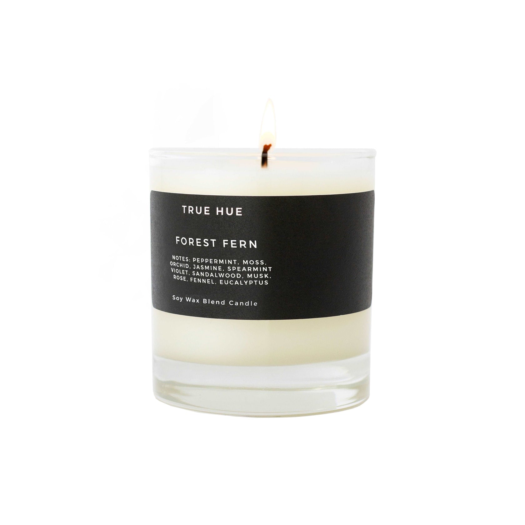 Forest Fern Candle – True Hue
