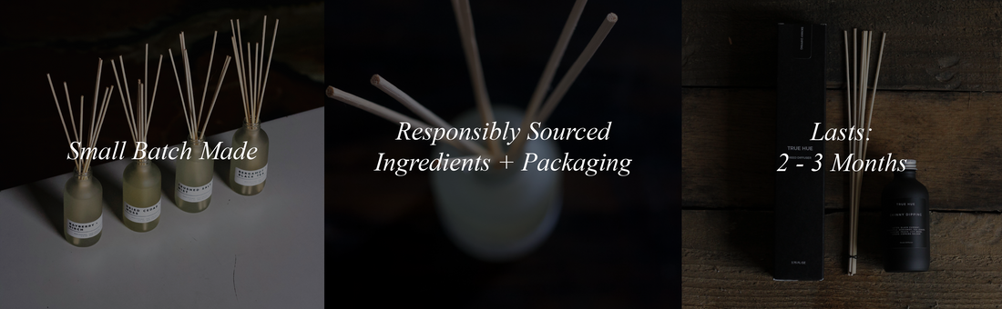 Crushed Salt + Mist Reed Diffuser – True Hue