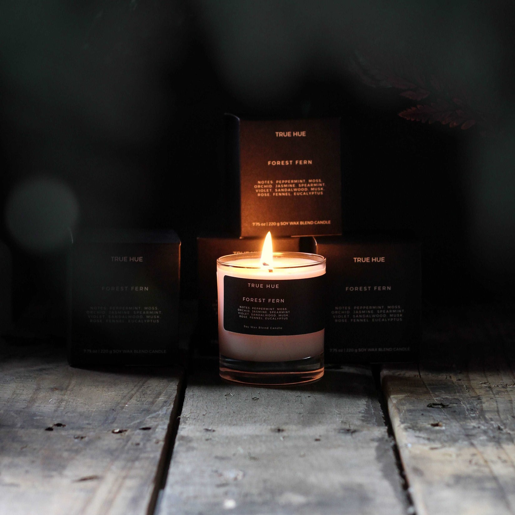 Forest Fern Candle – True Hue
