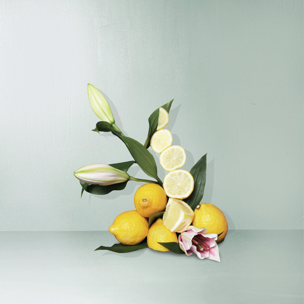 ALL REED DIFFUSERS – True Hue